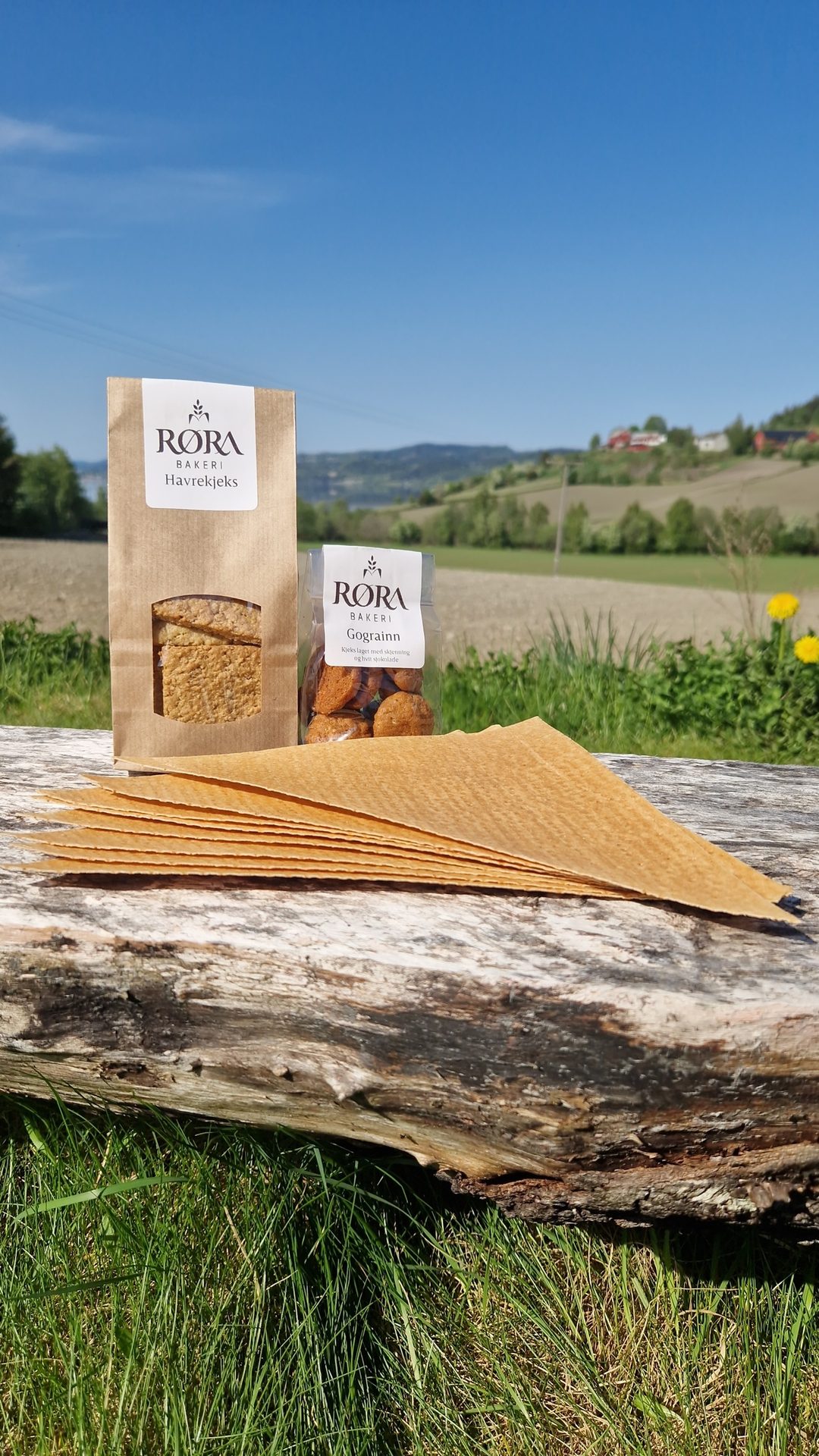 Trøndelag - med hjerte for mat