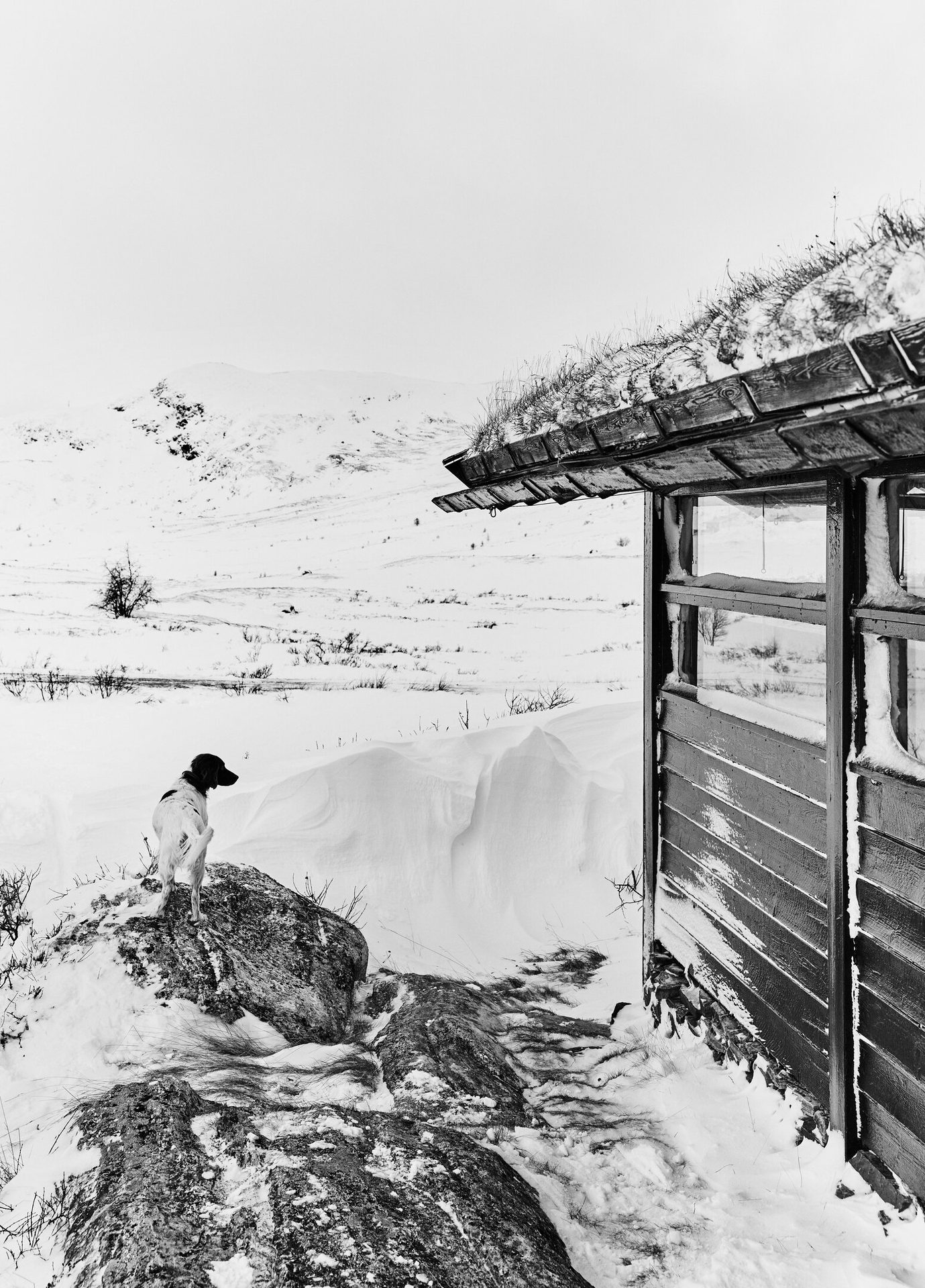 24 år gamle Turid Haaland tegnet seg inn i norsk arkitekturhistorie med ...