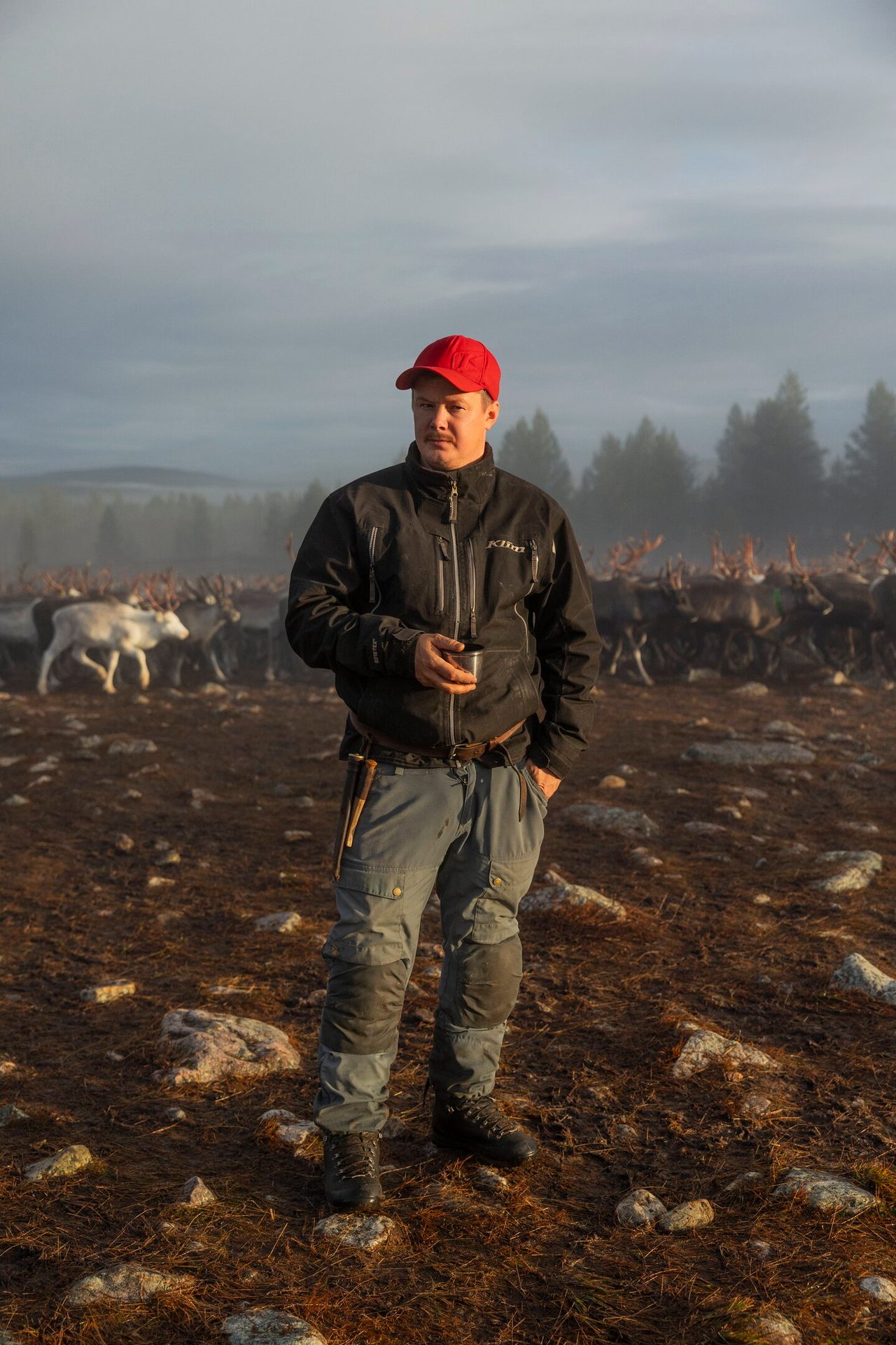 Fortvilte svenske reindriftsamer, en norsk milliardær – og en natur som ...