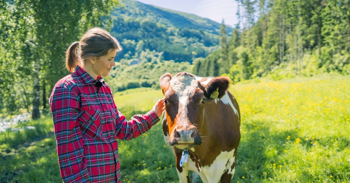 Annonsørinnhold: Derfor bidrar friske kuer til bedre folkehelse