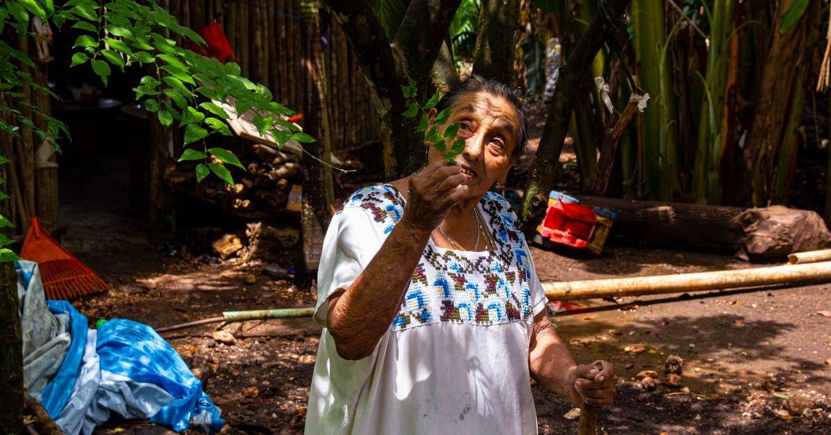 Igualdad e Inclusión | ONU Mexico en Accion 2022