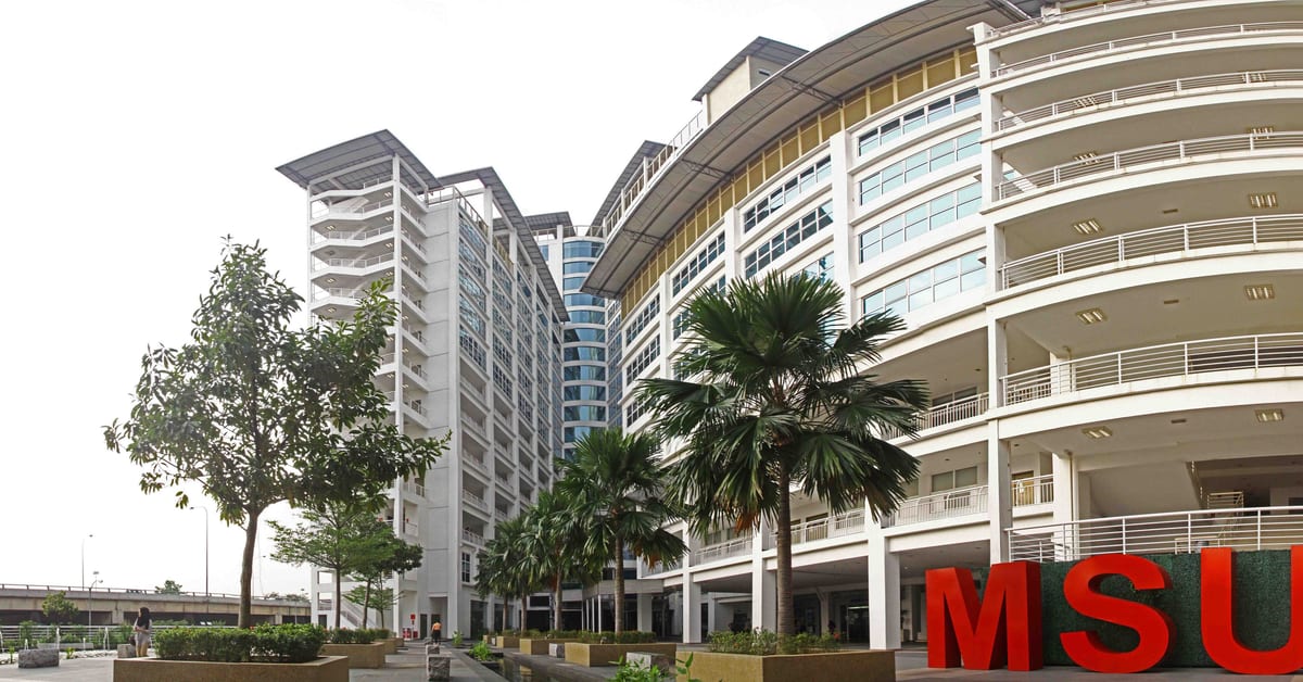 Management and Science University