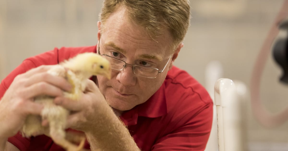 Master of Science in Poultry Science