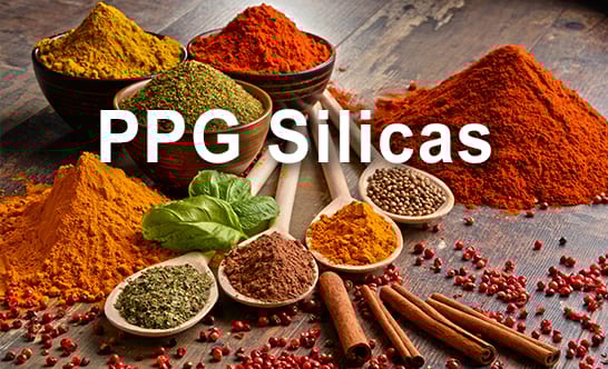 PPG Silicas