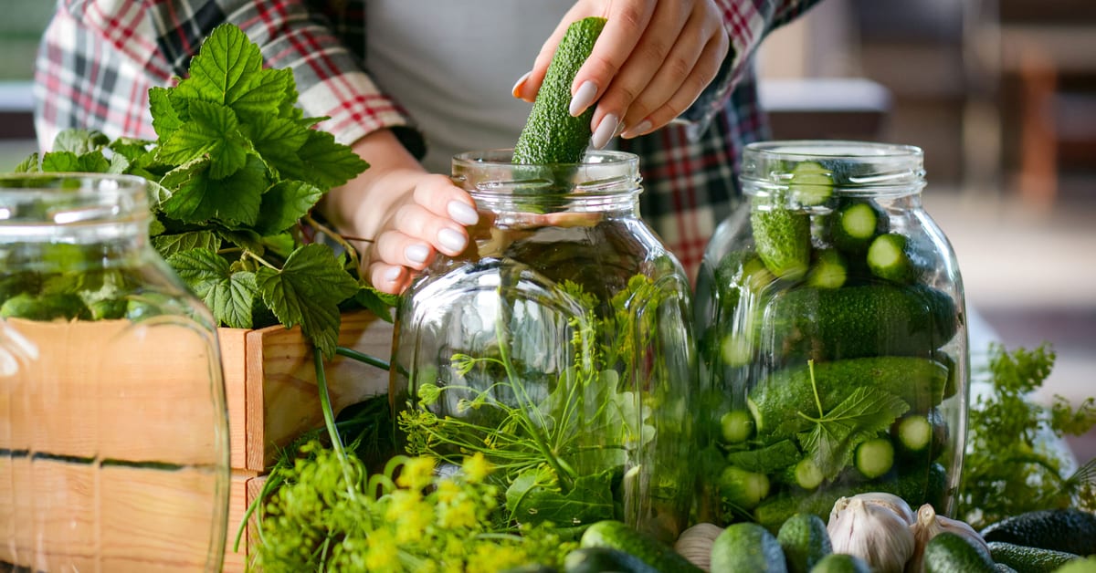 Column-Back To Basics | February/March 2024 | Food Safety Magazine