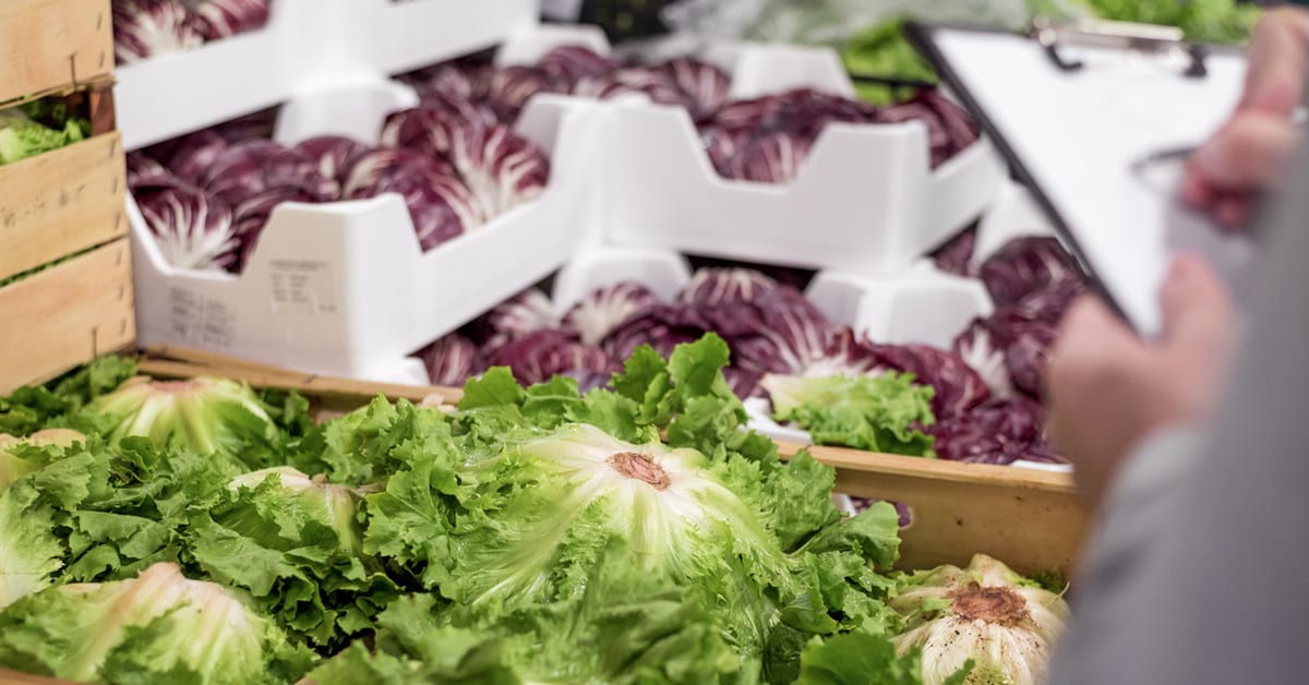 Share-ify Launches Into 2024