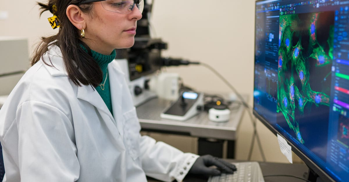 MSc in Computer Science