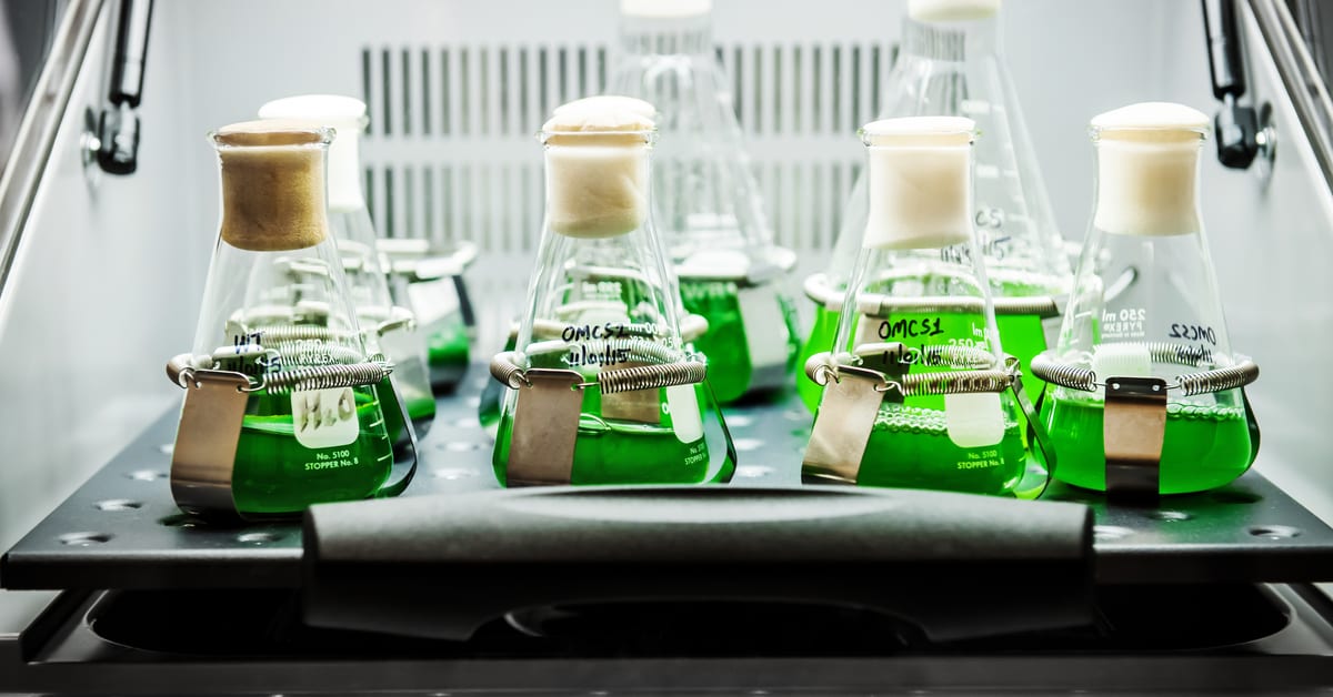 MS in Biochemical Engineering