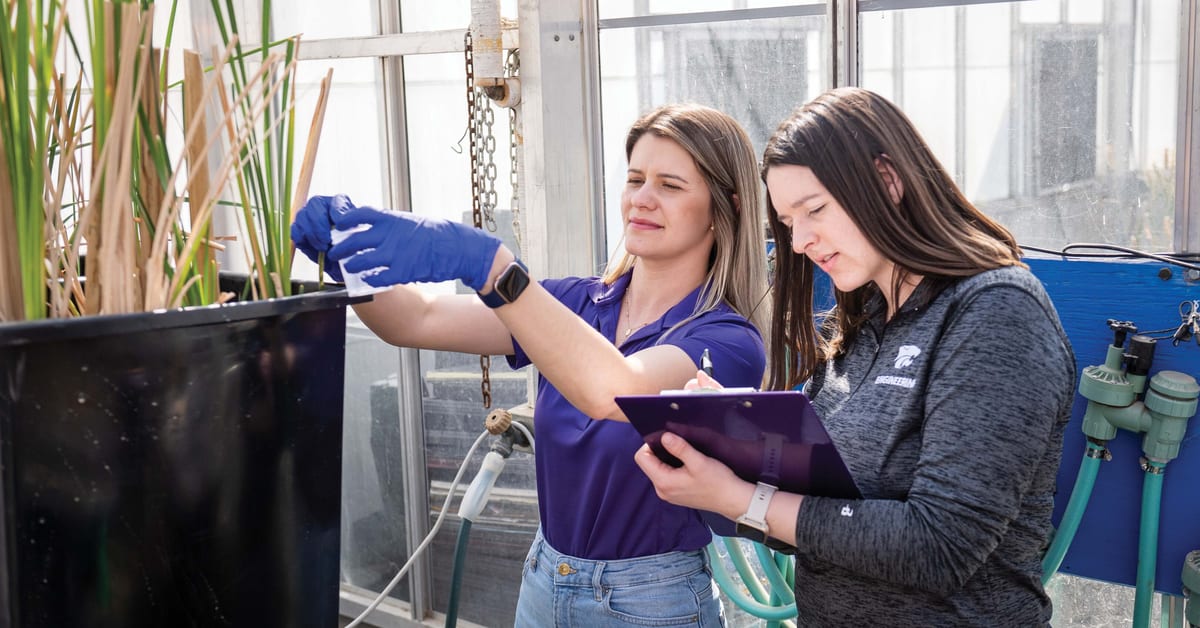 BS Biological Systems Engineering (BSE)