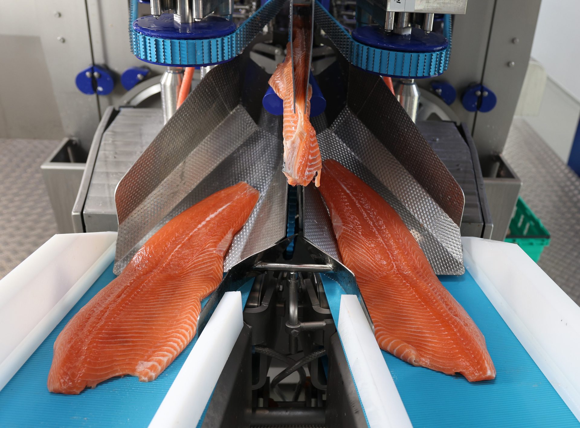 Sponsored Content: How are JBT Marel benchmarking the salmon filleting ...
