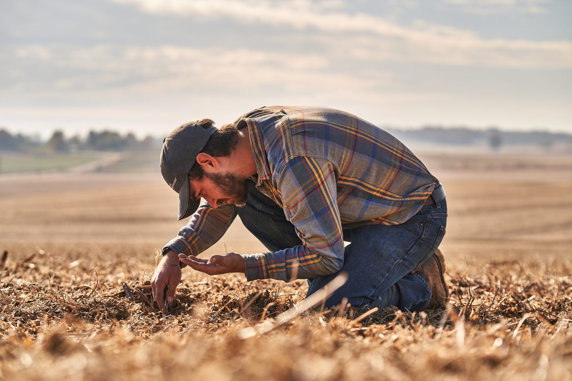 Decarbonising the food and agricultural system