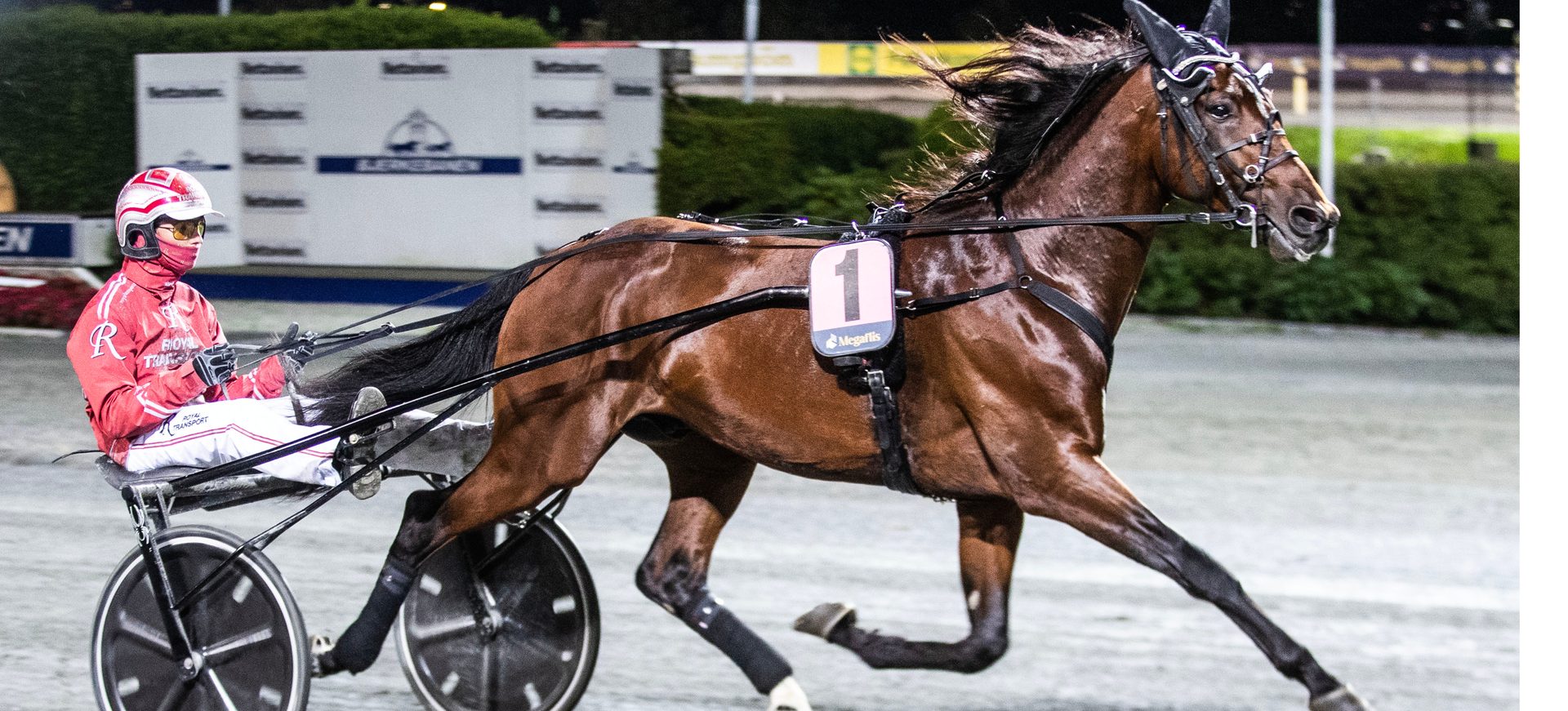 Ukens V75 tips v2