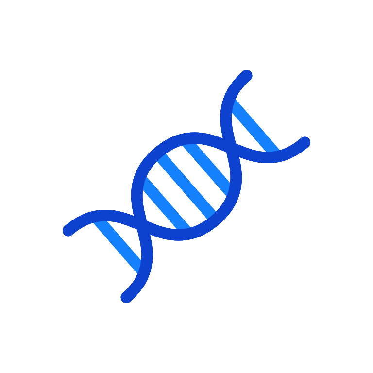 A playbook for success