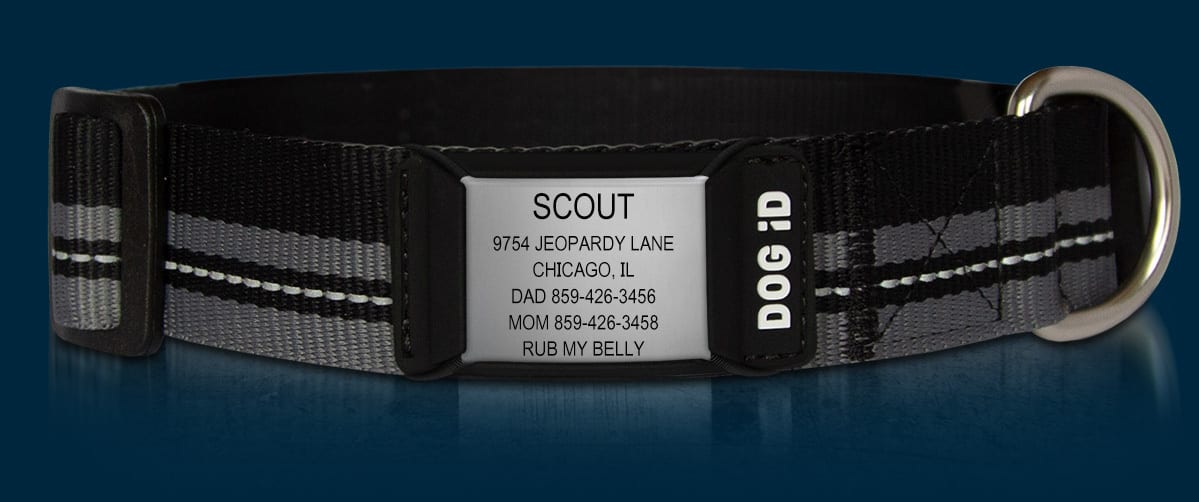 DOG iD: Em-bark on Adventure