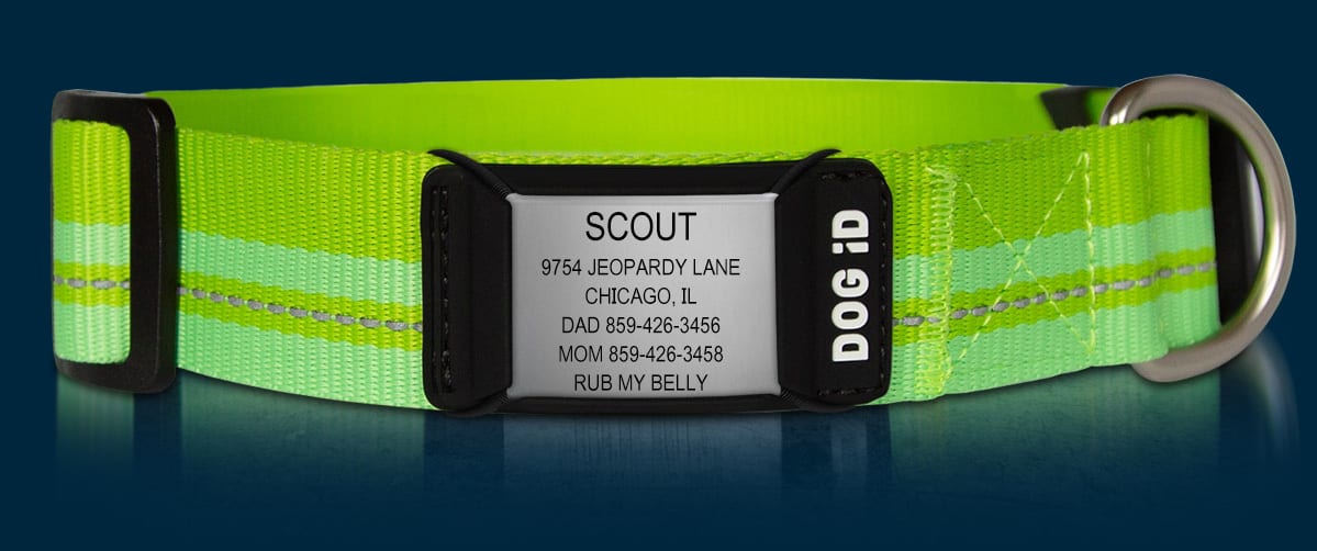 DOG iD: Em-bark on Adventure