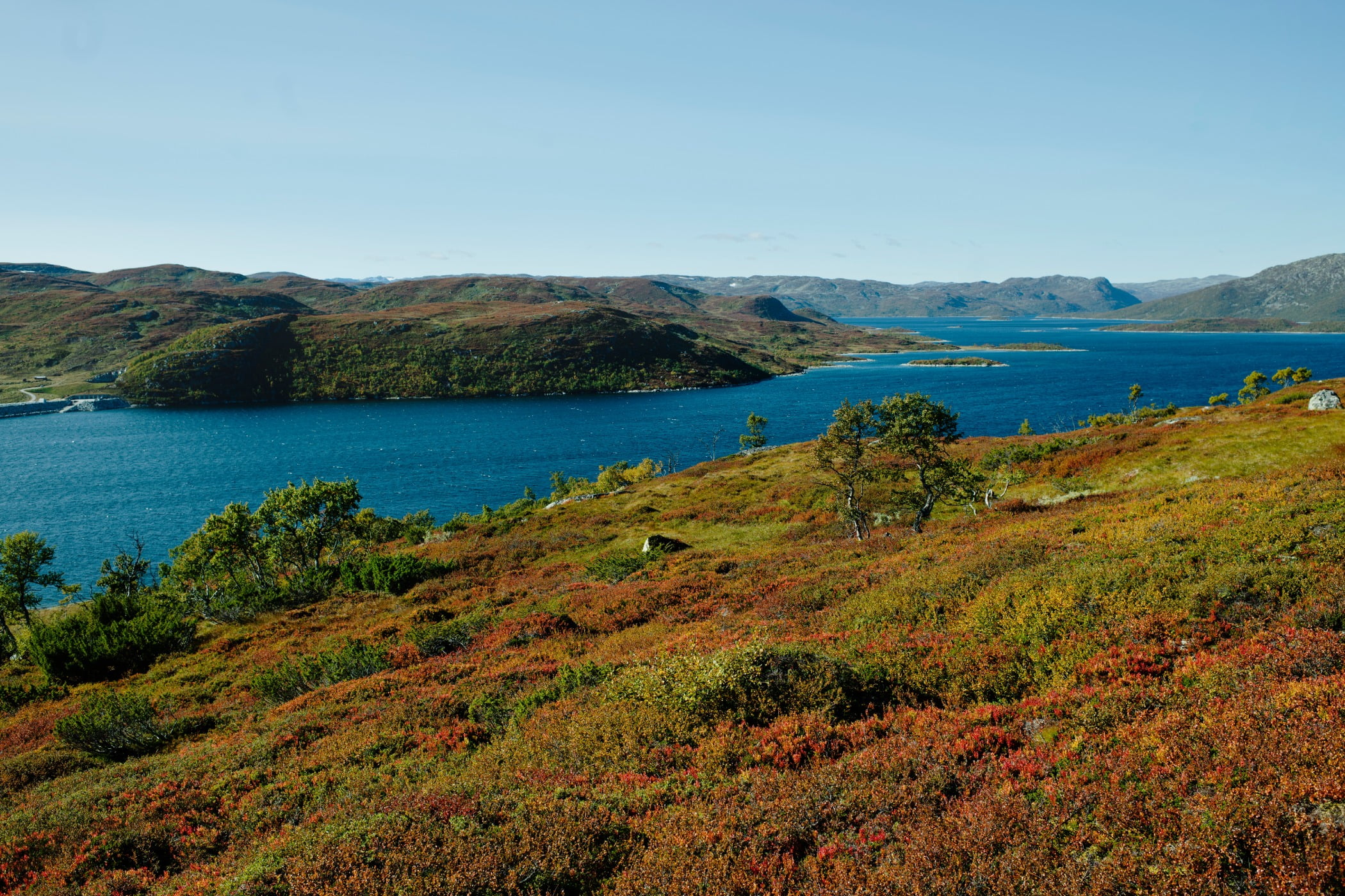 Annonsørinnhold: Naturens eget plaster