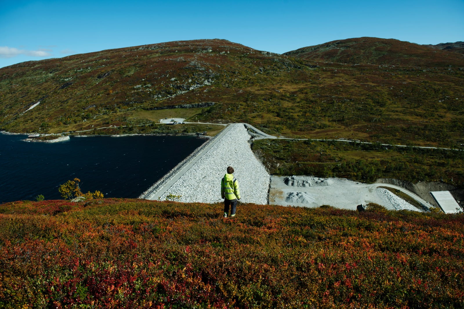 Annonsørinnhold: Naturens eget plaster