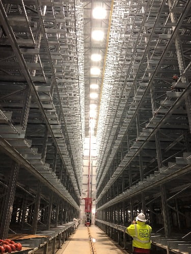COLD Design Build | May 2021 | Refrigerated & Frozen Foods