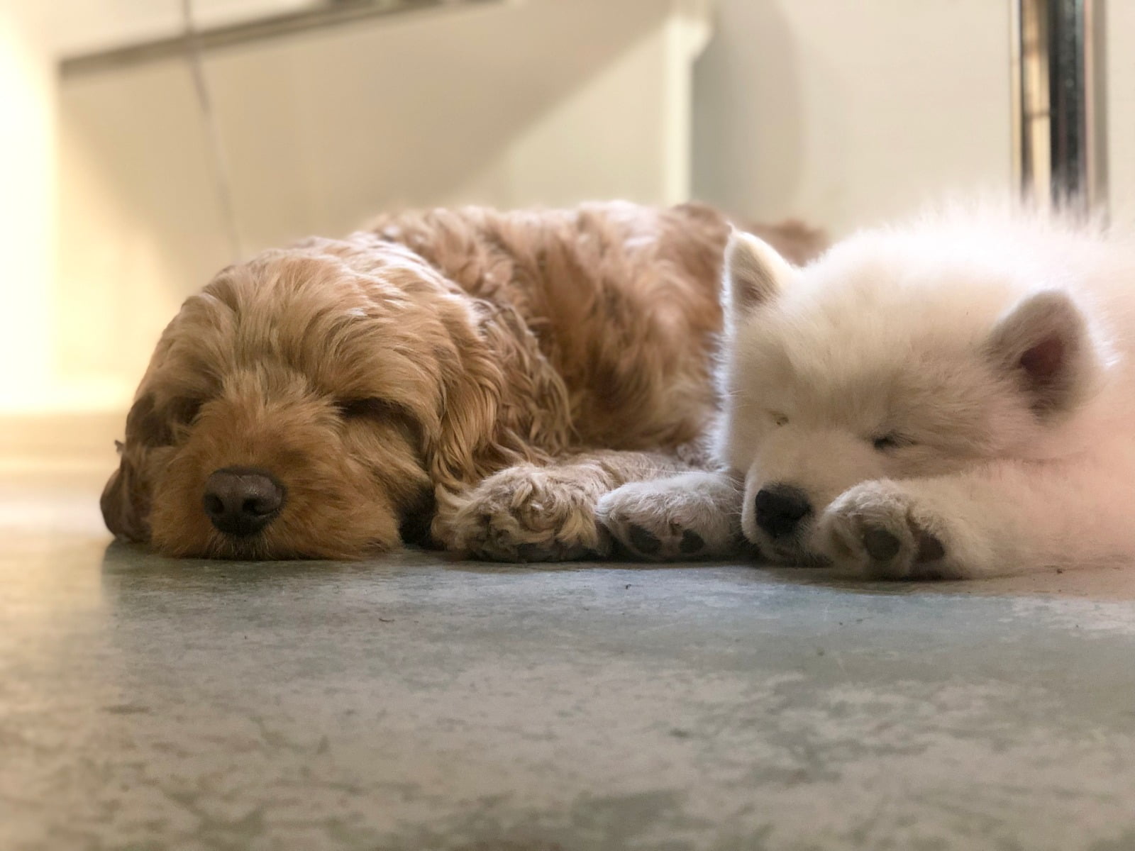 About Vev: Built for the next generation of creatives