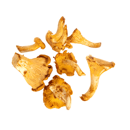 6 typer sopp – slik bruker du dem