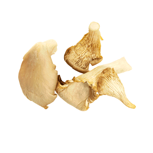 6 typer sopp – slik bruker du dem