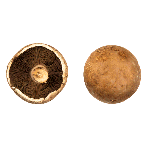 6 typer sopp – slik bruker du dem