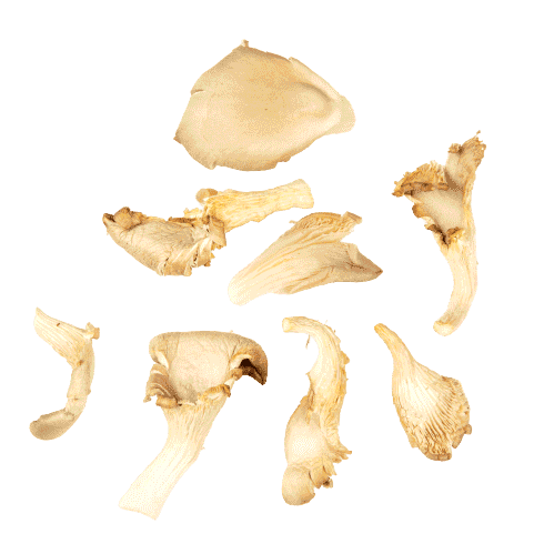 6 typer sopp – slik bruker du dem